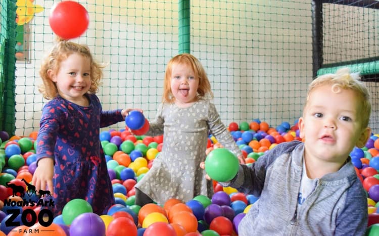 Noah's Ark Zoo Farm | Bristol Rocks